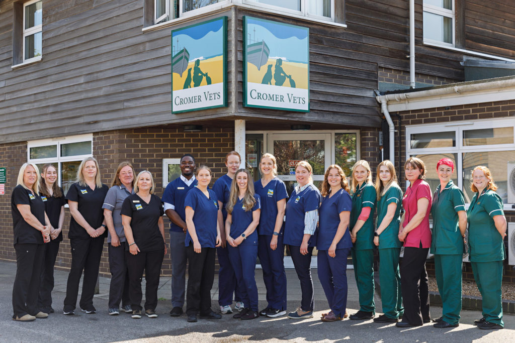 Contact – Cromer Vets