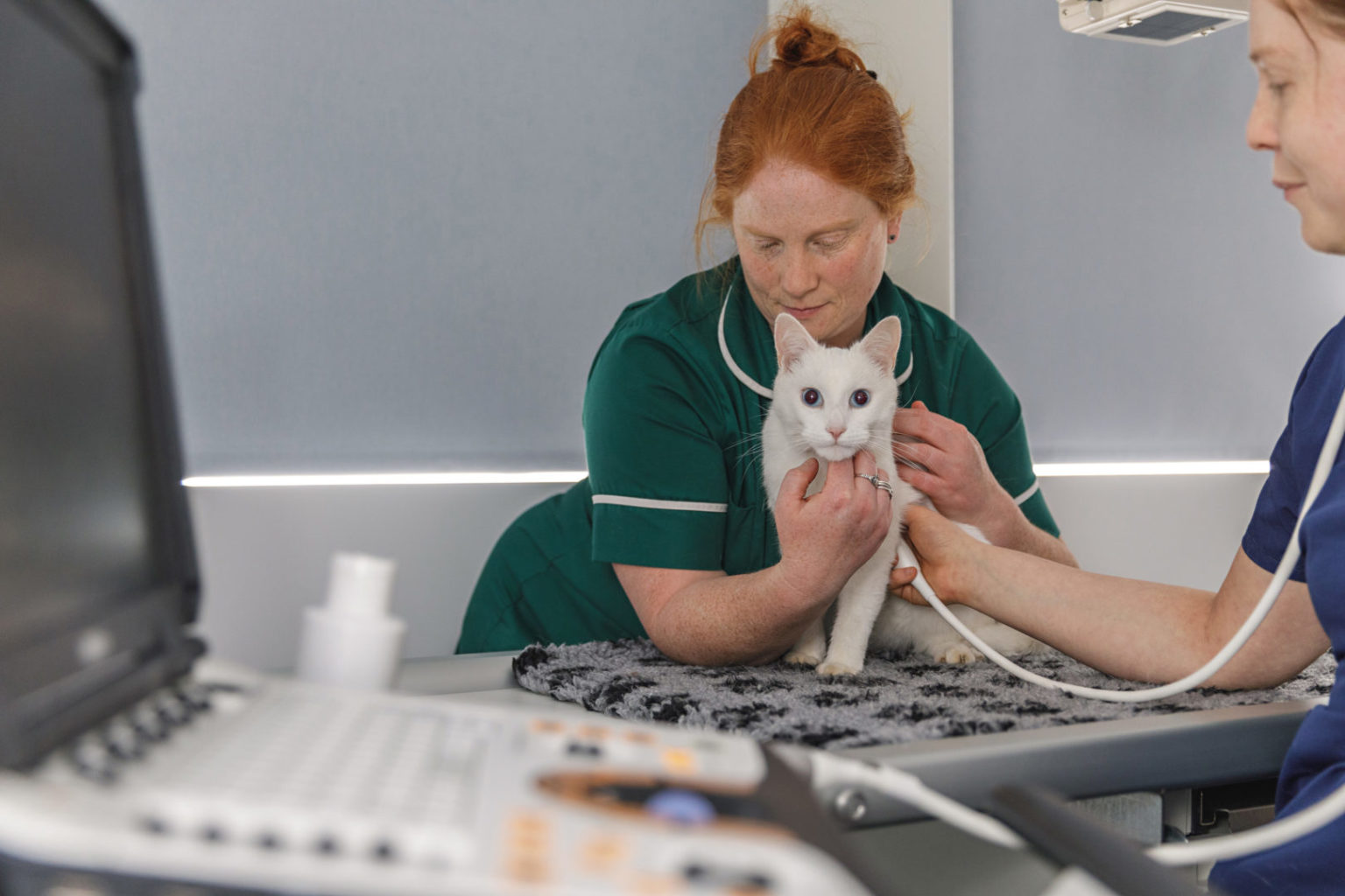 Cromer Vets – Veterinary practice in Norfolk