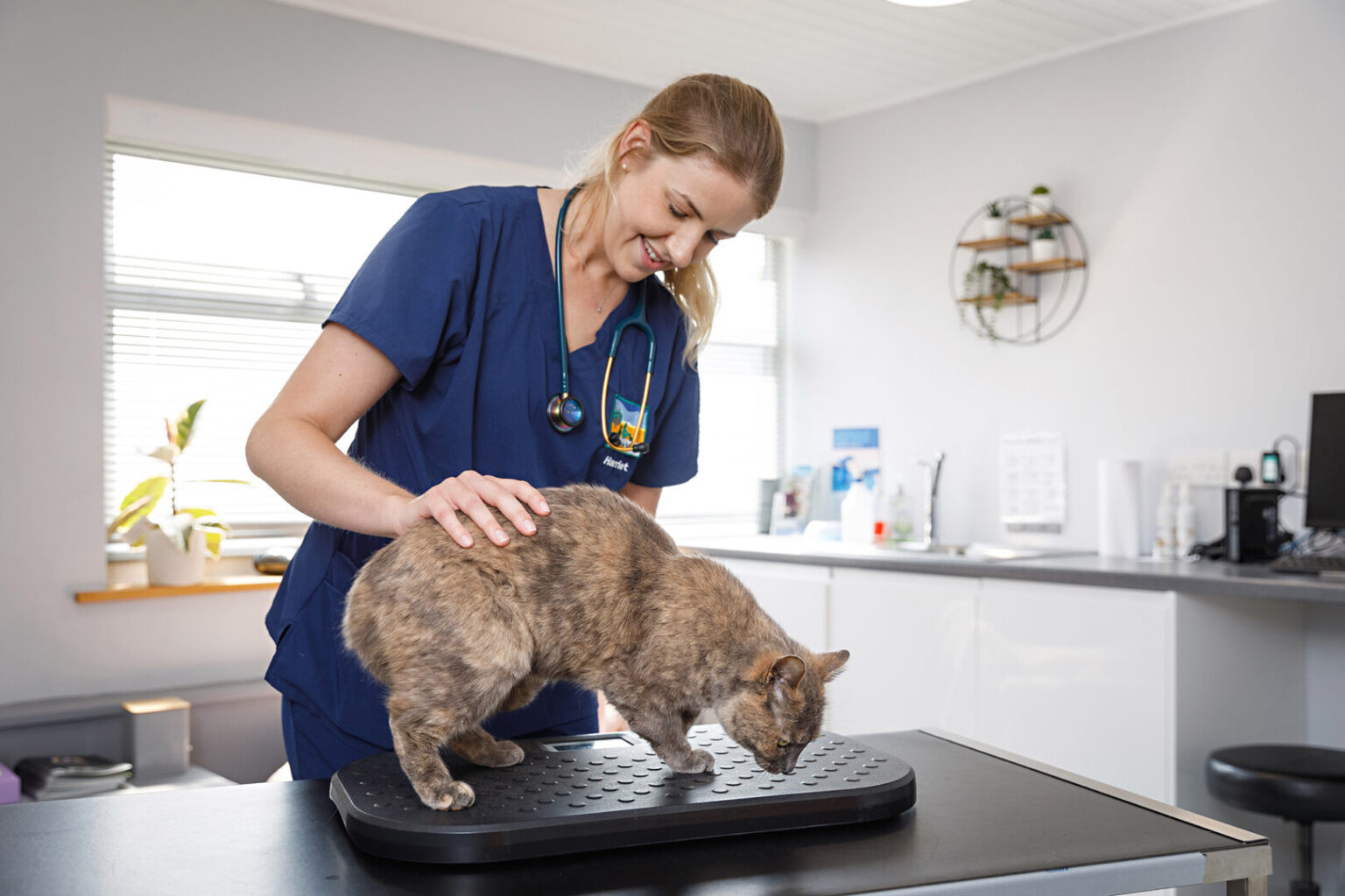 Contact – Cromer Vets